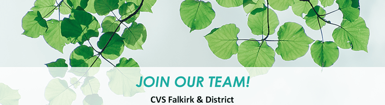 CVS Falkirk – Supporting, developing and representing community groups ...