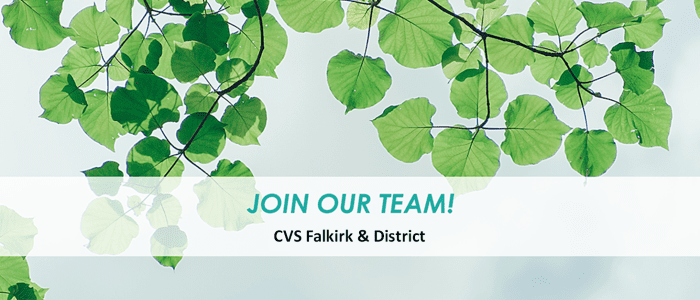CVS Falkirk – Supporting, developing and representing community groups ...